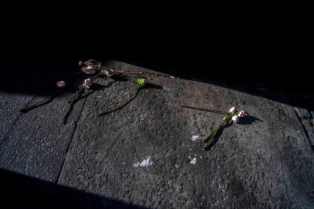 The Subject Was Roses – For Earth Below